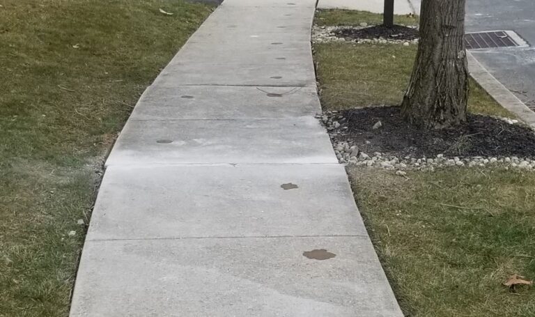 Gallery - Concrete Alternatives